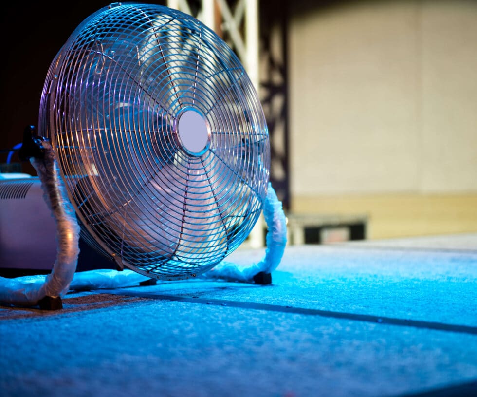 How to Dry a Wet Carpet in 5 Simple Steps + FAQS