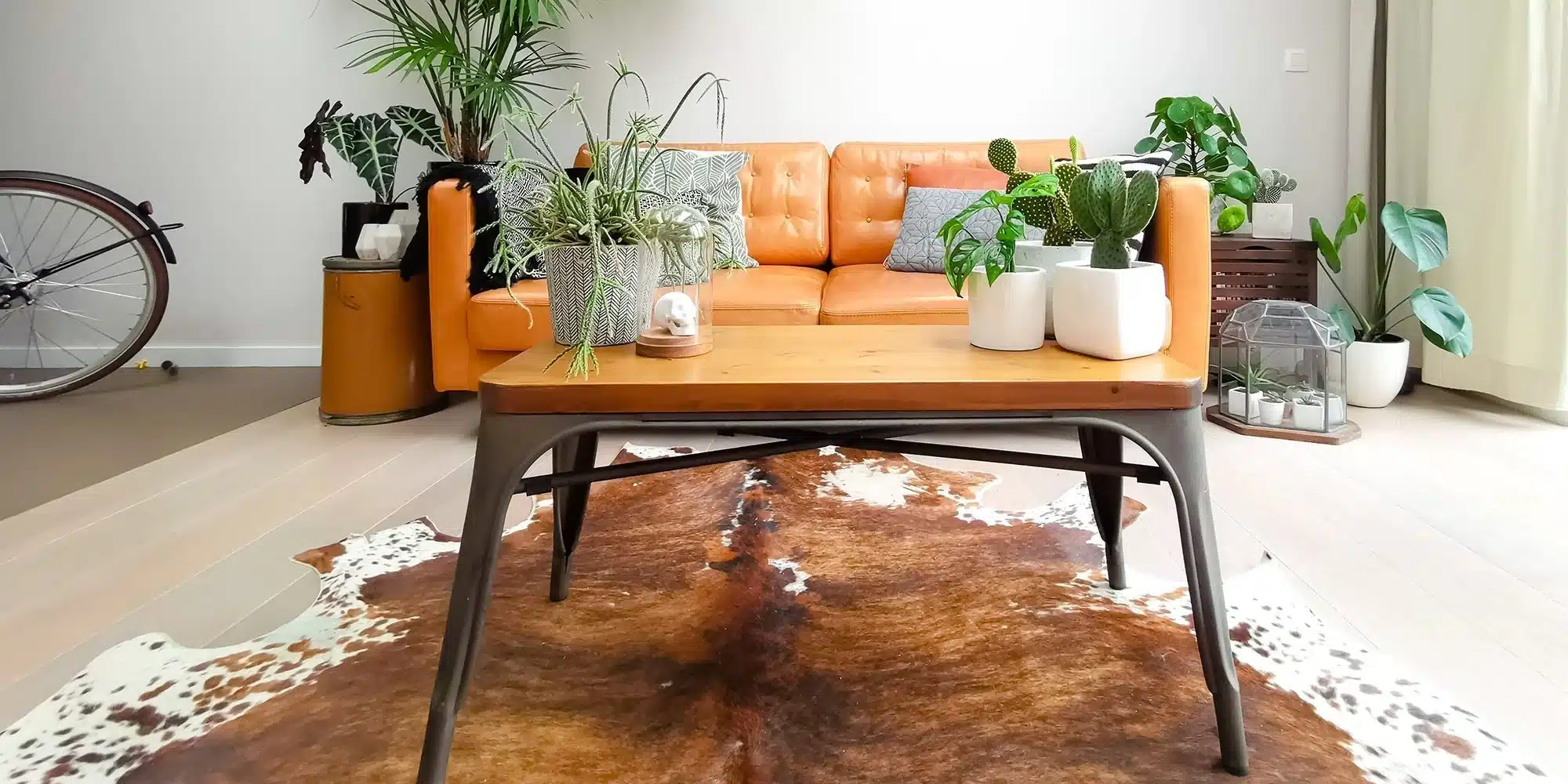 How to Clean a Cowhide Rug Safely - Professional Tips